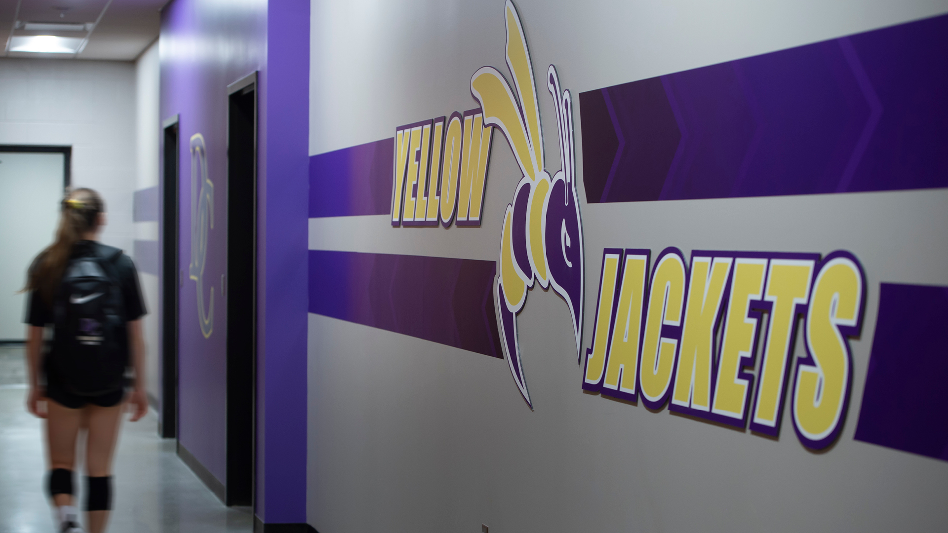 Environmental Graphics - Design Collaborative